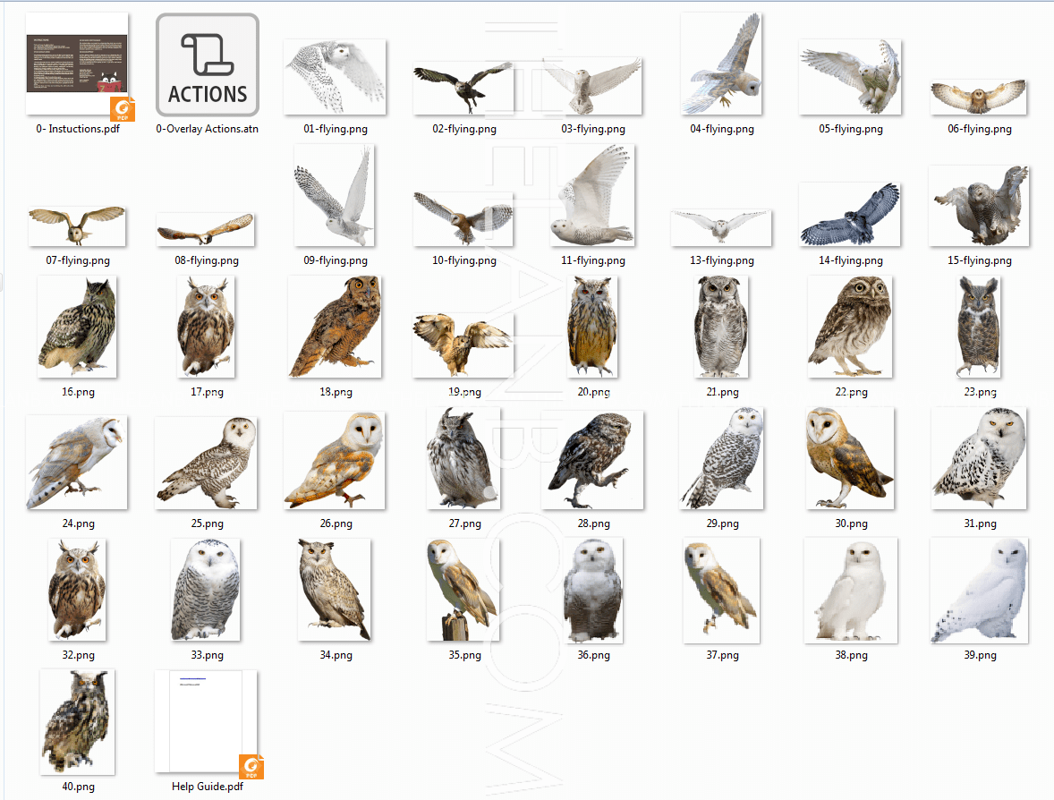 [Share Overlay] 39 Con Chim Cú Và 46 Con Chim Mòng Biển Định Dạng PNG ...