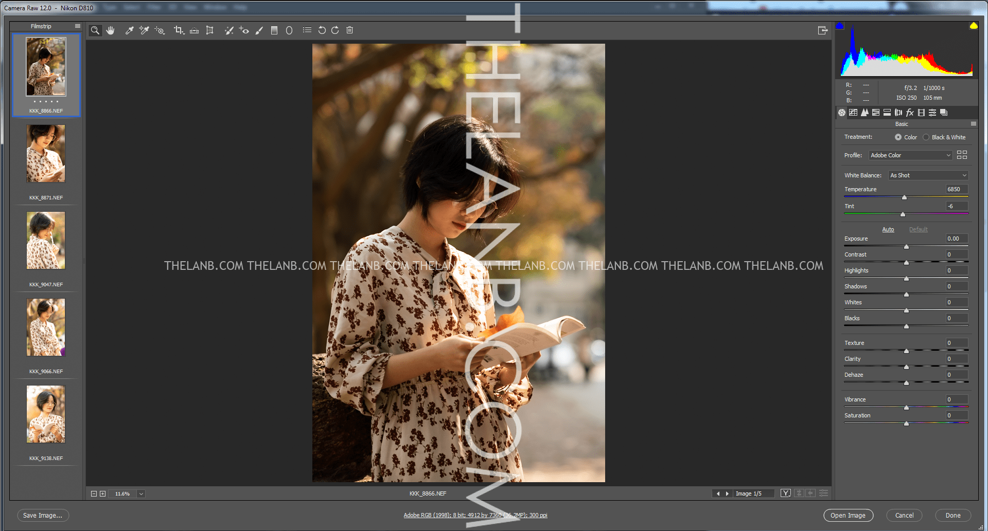 [Hướng Dẫn] Sử Dụng Preset XMP trên Camera Raw 12.0 - Áp Preset Và Xuất ...