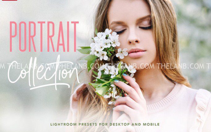 thelanb-com-Pasted - Thư Viện Tài Nguyên Dành Cho Nhiếp Ảnh Và Thiết Kế