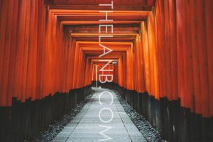 [VShare Preset] Bộ Preset Sử Dụng Chụp Phong Cảnh Tokyo Đến Từ NAG ErenJam (LR) (Update 2025 ...